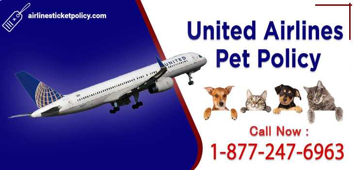 United Airlines Pet Transport Policy - Transport Informations Lane